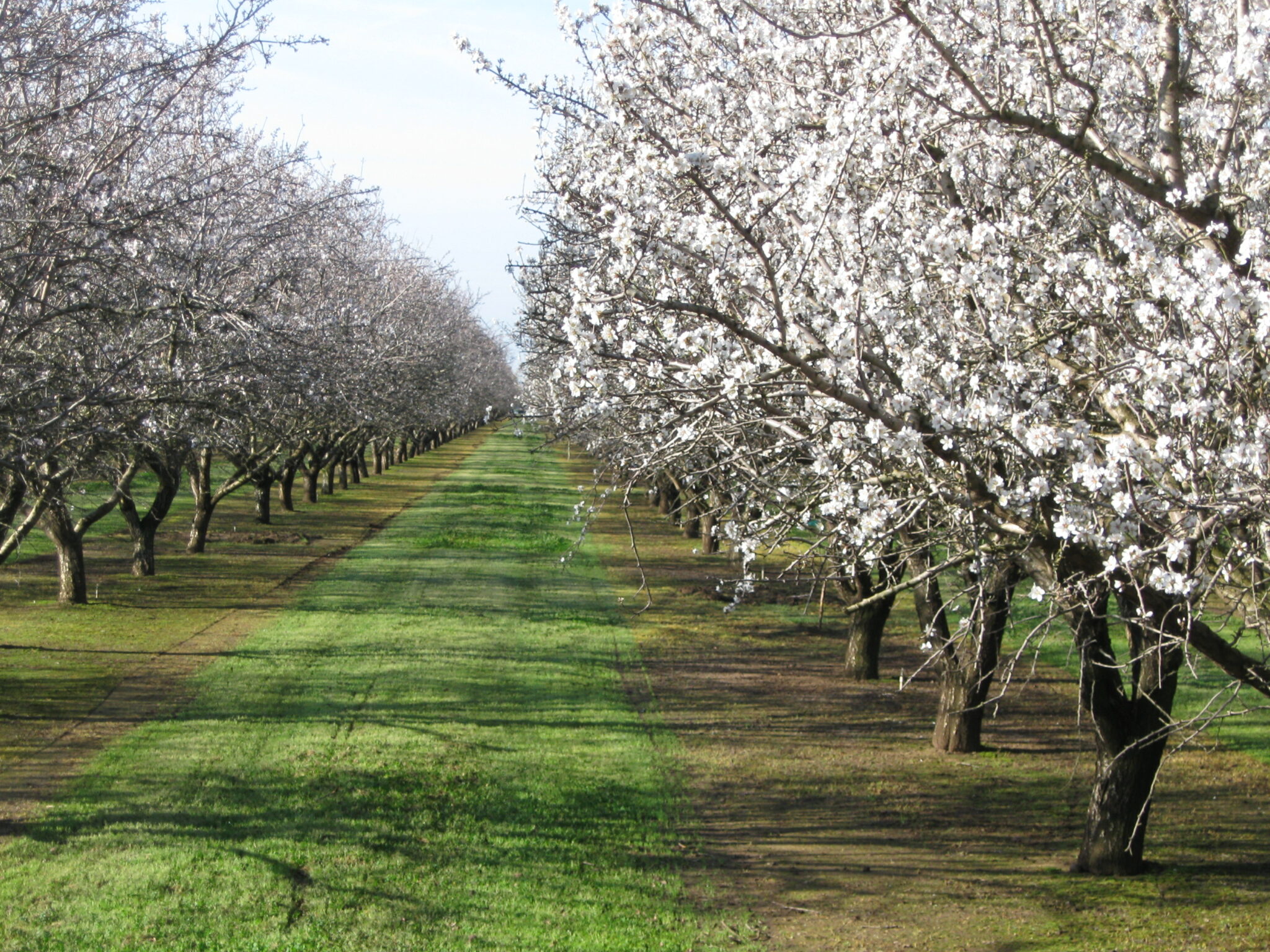 Arcosa Specialty MaterialsCal-CM+ Plus – Dual Benefits - Arcosa ...